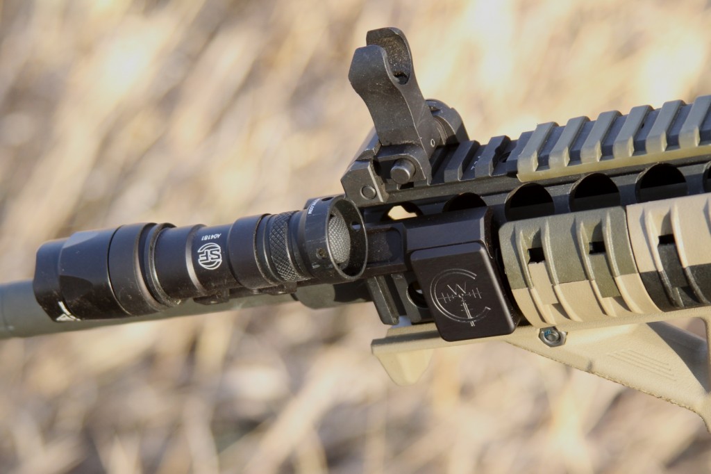 Thorntail Light Mount from Haley Strategic Partners and IWC | Jerking ...