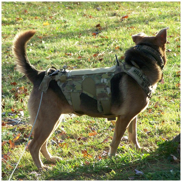 MK VII K9 Harness from Fight and Flight Tactical | Jerking the Trigger