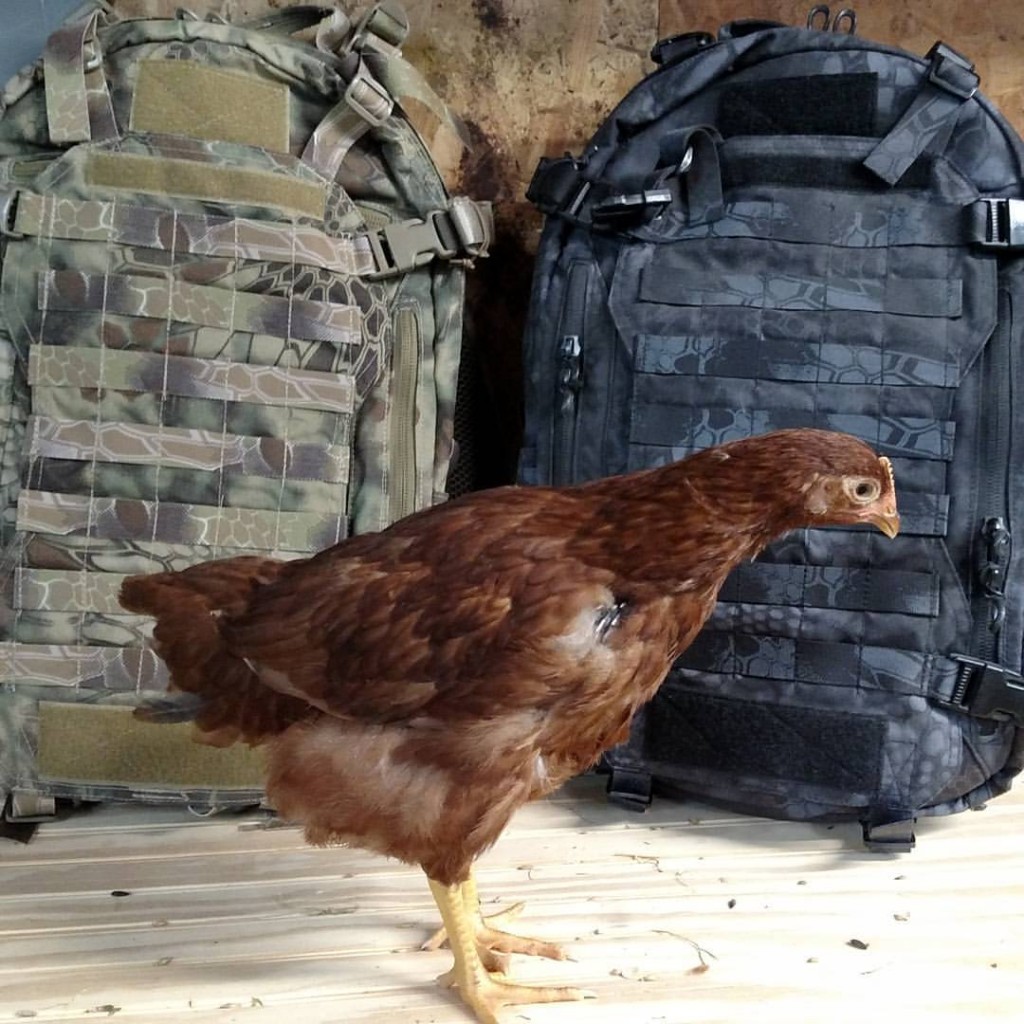Fight and Flight Tactical’s New Redhead Chick | Jerking the Trigger