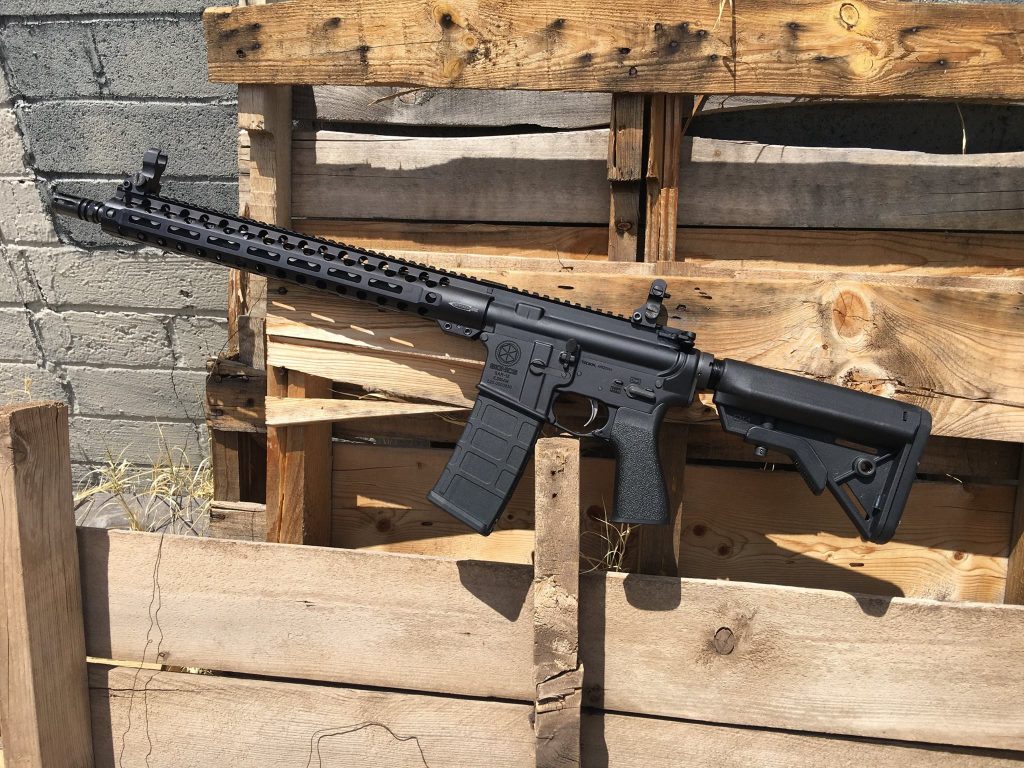 Sionics Weapon Systems Updates | Jerking the Trigger