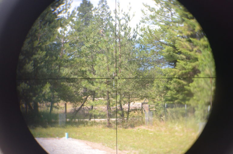 Review: S2Delta 1-4×24 Carbine Scope – Is This the New Value Leader in ...