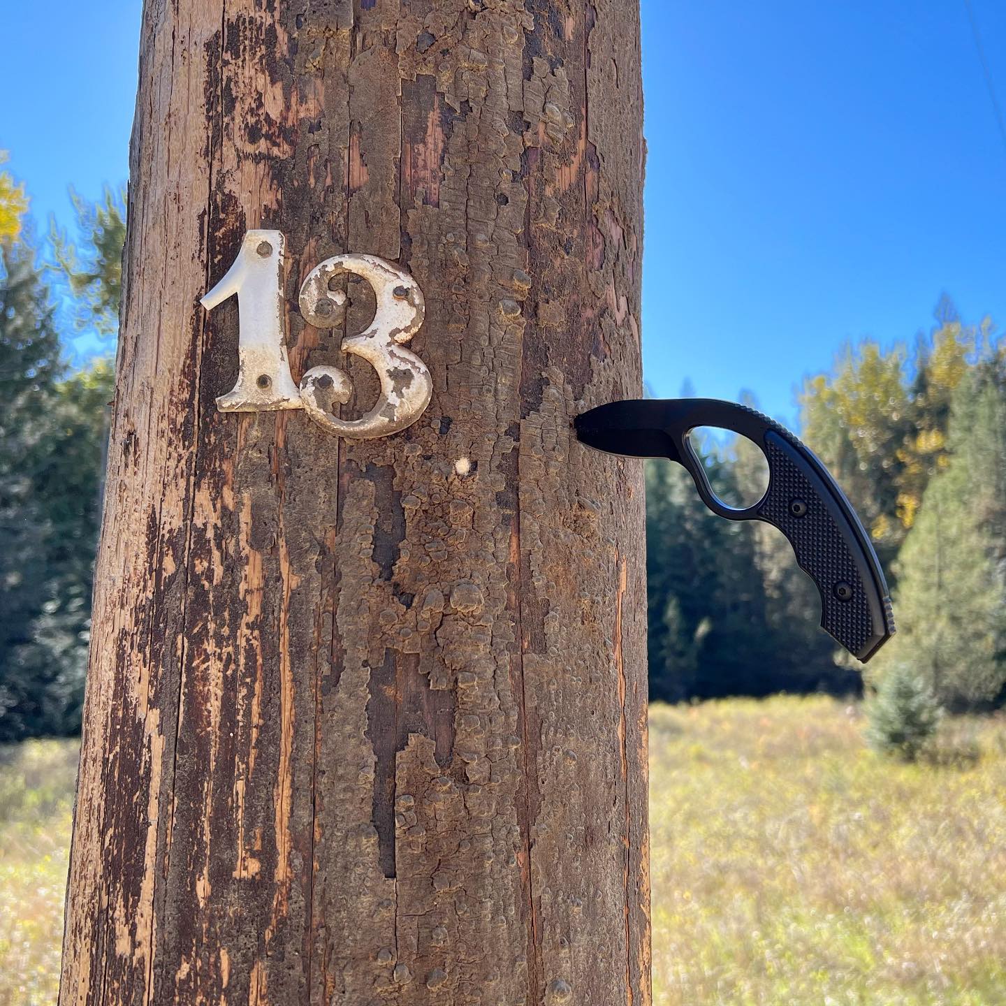 Flash Review: Regiment Blades Lo Viz Pro | Jerking the Trigger